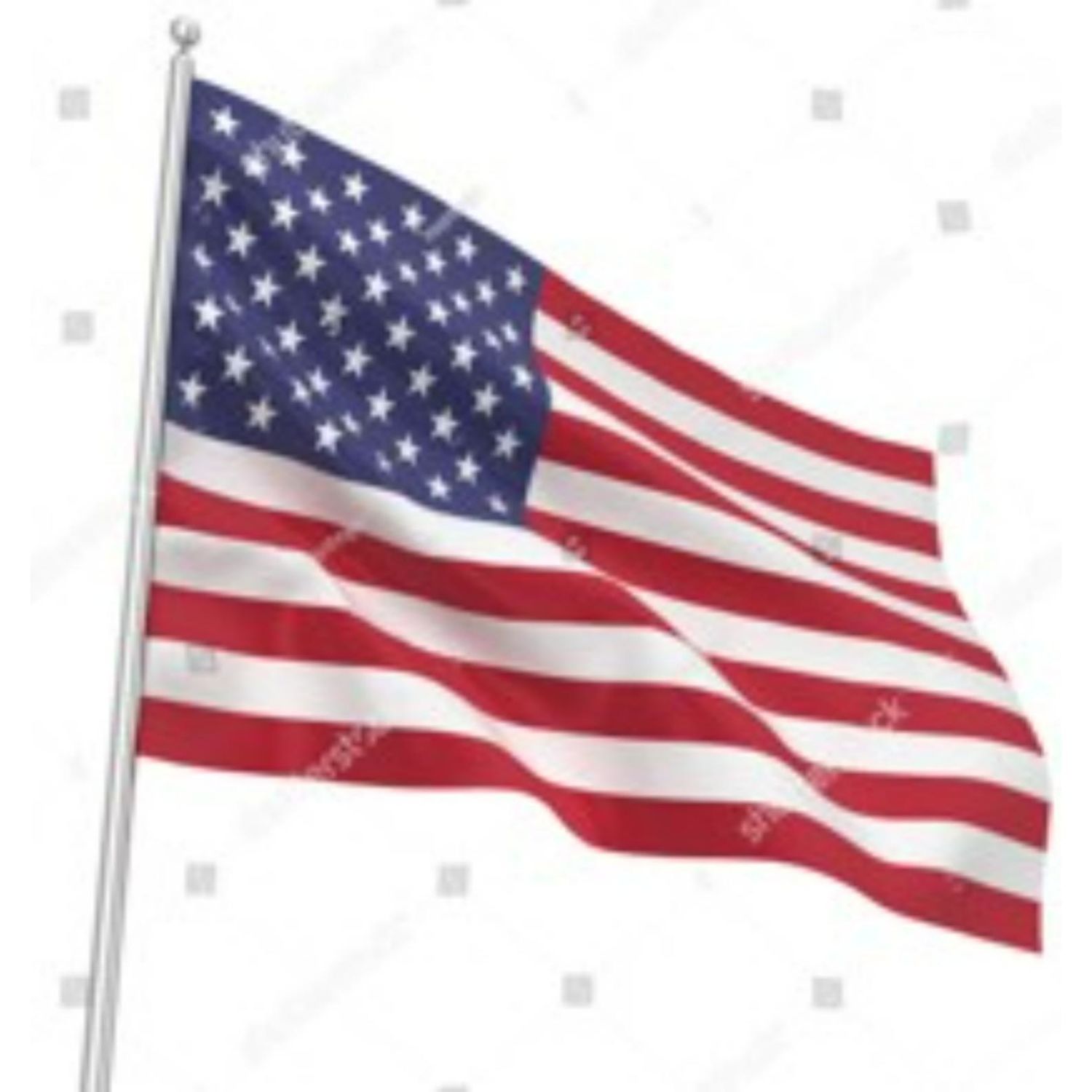 Hitt Brands Window Flag Decal