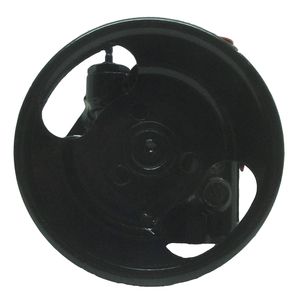 Lares Power Steering Pump 2953