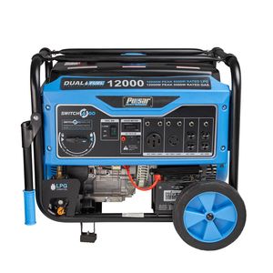 Pulsar Portable Generator PG12000B