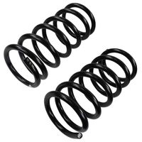 Rear Coil Spring - Find the Right Part at the Right Price | AutoZone