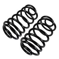 Rear Coil Spring - Find the Right Part at the Right Price | AutoZone