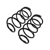 Rear Coil Spring - Find the Right Part at the Right Price | AutoZone