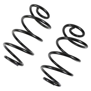 Rear Coil Spring - Find the Right Part at the Right Price | AutoZone