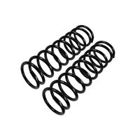 Rear Coil Spring - Find the Right Part at the Right Price | AutoZone