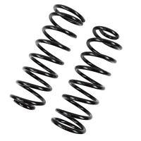 Rear Coil Spring - Find the Right Part at the Right Price | AutoZone