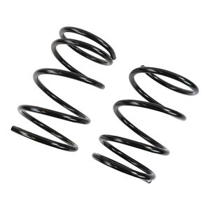 Duralast Coil Spring Set DLCS5699