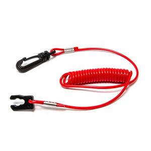Best Lanyard for Cars, Trucks & SUVs
