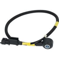 2021 Kia Telluride Knock Sensor