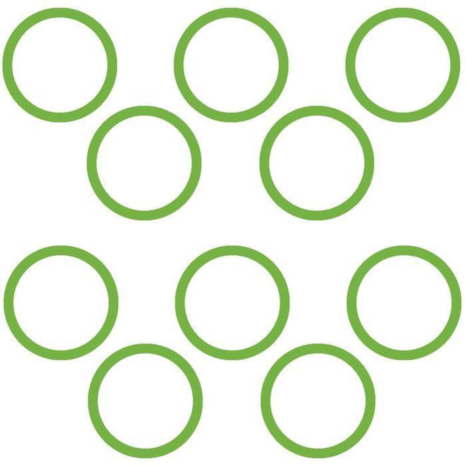Santech MT0273-10 Green HNBR O-Ring 10 Piece