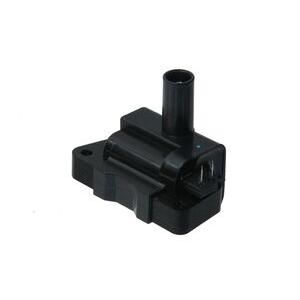 Autotecnica Ignition Coil NI1310939