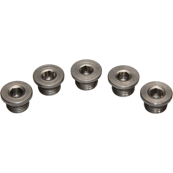 Walker Products 90-203SSP Stainless Steel Sensor Bung Plug 5PK