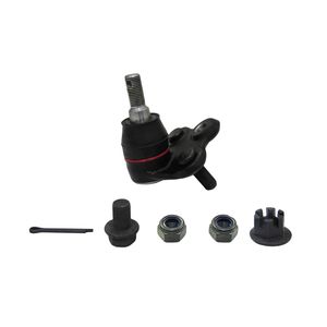 BAW Rotula - Inferior - AutoZone