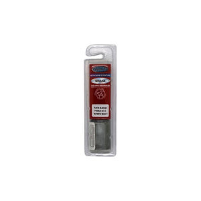 Pintura de Retoque Universal Pinauto Sholt Color Plateado Glaciar Nissan